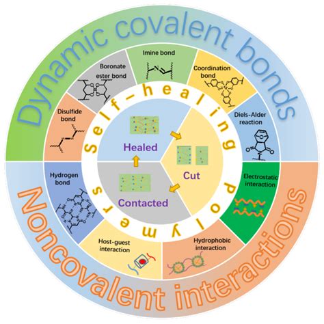 Illustration Of Self Healing Elastomers Based On Different Dynamic Download Scientific Diagram
