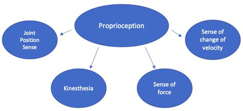Proprioception