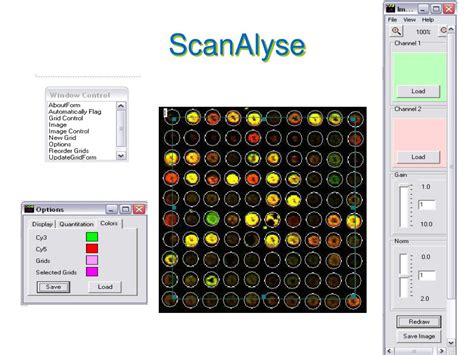 ppt microarray analysis software powerpoint presentation free