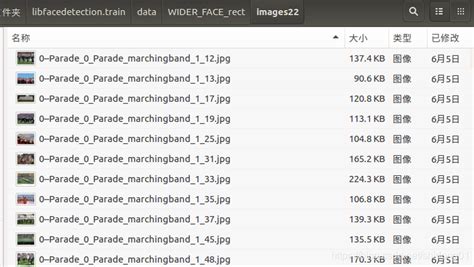 Pytorch下训练能识别口罩的libfacedetectionlibfacedetection训练 Csdn博客