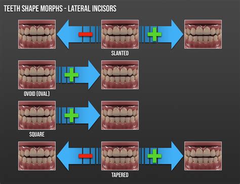 Ng Build Your Own Smile For Genesis 9 Dental Work Daz 3d