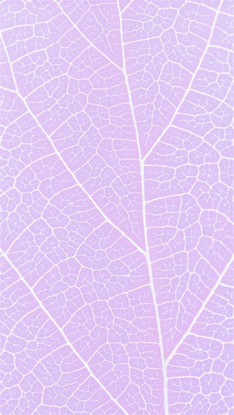 41 Gambar Background Ungu Muda Jurus Malam