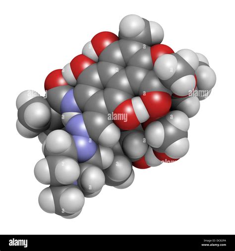 Rifampicin Rifampin Rifamycin Class Tuberculosis Antibiotic