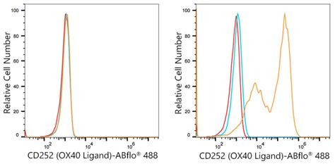 Abflo® 488 Rabbit Anti Mouse Cd252 Ox40 Ligand Mab 단일클론항체 Mab Abclonal