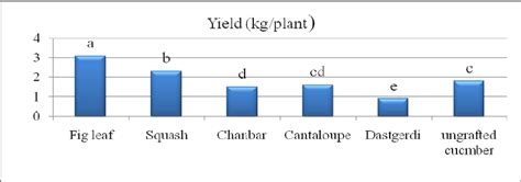 Effect Of Different Rootstocks On Total Yield Of Grafted Cucumber Plant