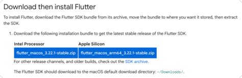 Flutter 플러터 설치 윈도우맥 개발환경 구축하기 설치 문제 해결하기 골든래빗
