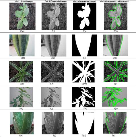 Figure 1 From Morphological Based Optimized Random Forest