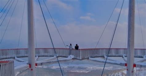 세계 스키어의 성지 넘어져도 안아픈 순백의 천국 이곳은