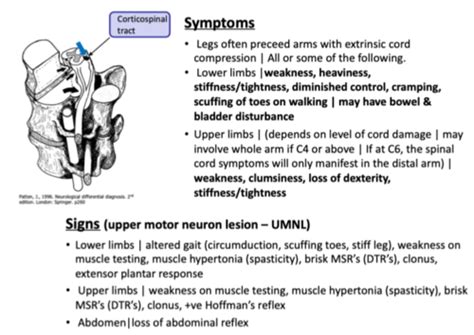 Extrinsic Cord Compression Flashcards Quizlet Extrinsic Cord Compression Flashcards Quizlet