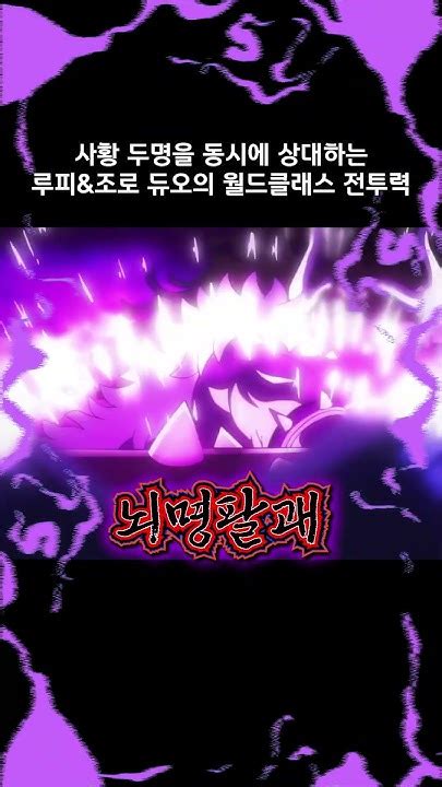 사황 두명을 동시에 상대하는 루피and조로 듀오의 월드클래스 전투력 원피스 Youtube
