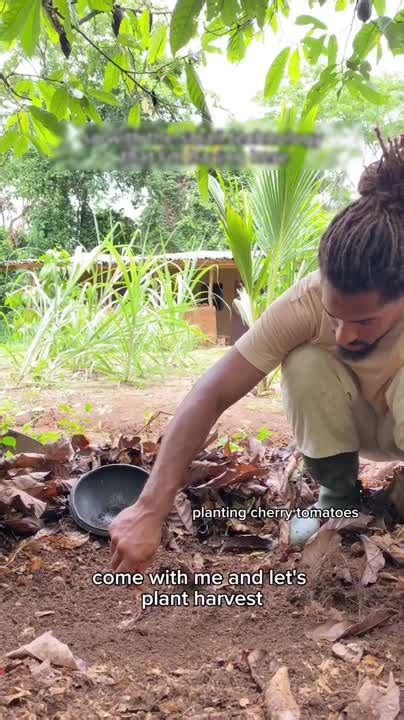 [video] Dixie Ann Joseph On Linkedin Humans Human Earth Indigenous Culture Community