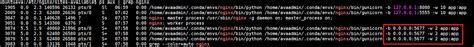 如何佈署python web 服務 how to deploy flask web app with wsgi nginx