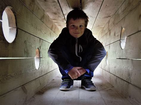 The Link Between Working Memory And Intelligence Bold