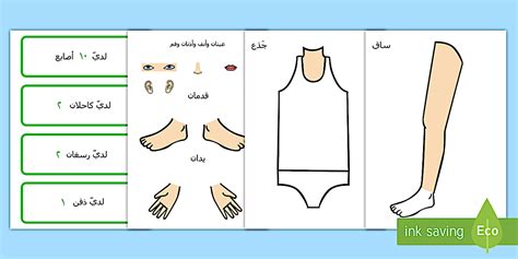 نشاط تدريس أعضاء جسم الإنسان للأطفال