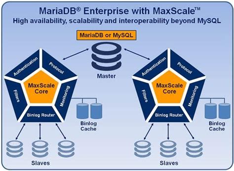 Mariadb Raises The Bar In Developer Enablement And Devops Productivity Insidebigdata