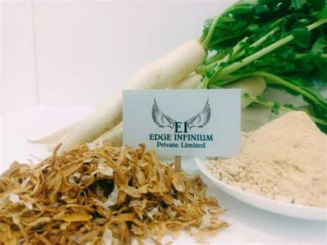 White Radish Powder Parsnip Powder Packaging Size 5kg At 280 Kg In Ahmedabad