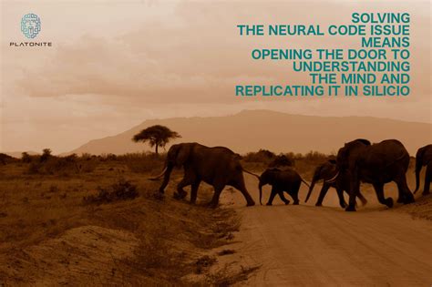 The Neural Code Roadblock On The Way To Ai Platonite
