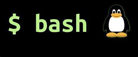Automating User And Group Management With Bash A Step By Step Guide