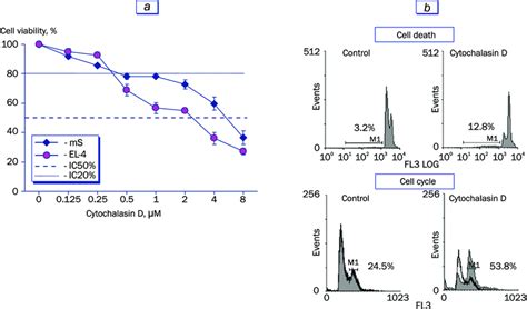 Results Of MTT Test A And PI Test B A Cell Viability Of MS And