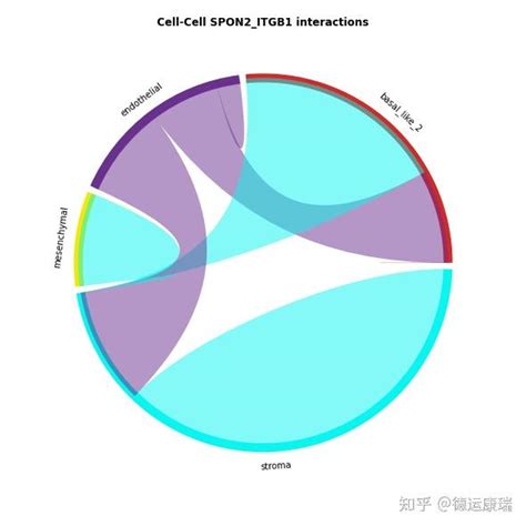 聚焦生信 Stlearn空间转录组细胞互作解决方案 附代码 知乎