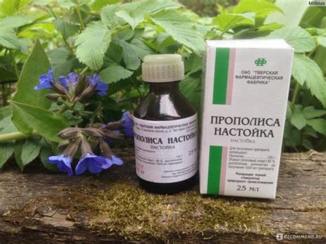 Настойка прополиса: свойства, применение, противопоказания