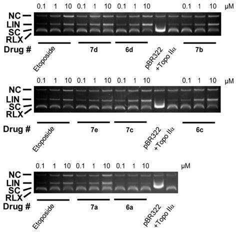 Structure Based Design Synthesis And Biological Testing Of Piperazine Linked Bis