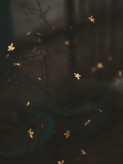 photo by annie spratt on unsplash photo photo backgrounds unsplash