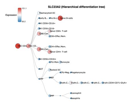 Generating A Hierarchal Tree Plot In R Using Expression Data R Bioinformatics