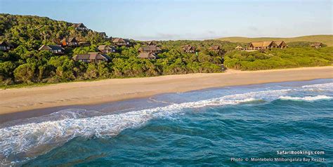 Top 10 Mozambique Luxury Beach Resorts And Hotels Safaribookings