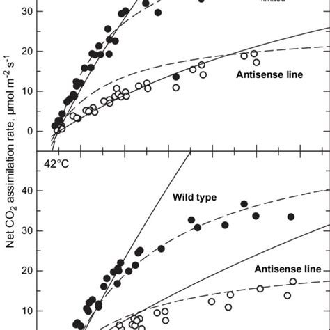 The Activation State Of Rubisco As A Function Of Rubisco Content At 25