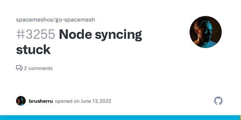 Node Syncing Stuck · Issue 3255 · Spacemeshosgo Spacemesh · Github