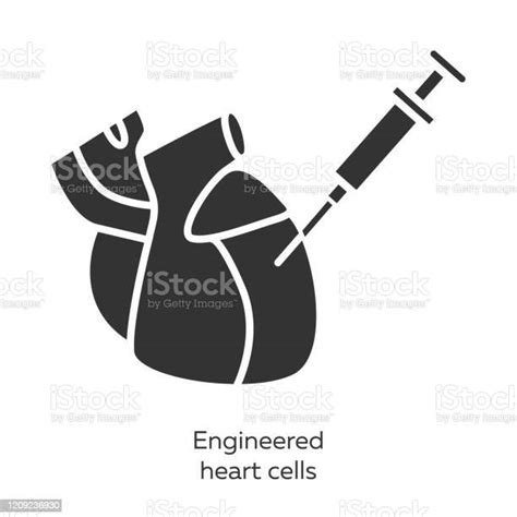 엔지니어링 된 심장 세포 문말 아이콘 세트 인간 공학 심장 조직 Hect 심장 주사 생명 공학 생명 공학 실루엣 기호입니다 벡터 절연 그림 개념에 대한 스톡 벡터 아트 및
