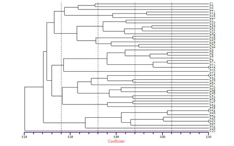 20 Questions With Answers In Ntsys Science Topic