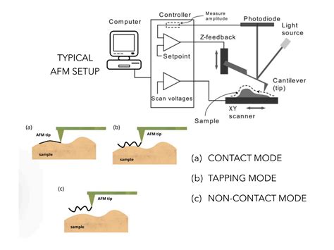 Amannanavaty Report Atomic Force Microscopypdf