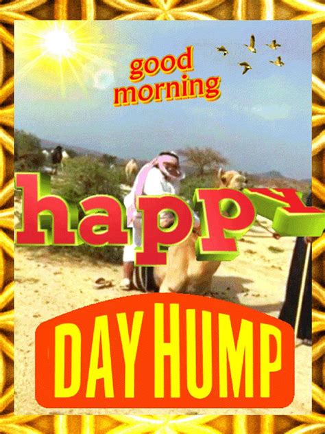 Good Morning Happy Hump Day Good Morning Wishes Quotes Happy