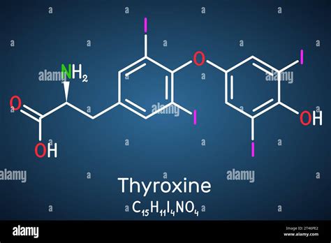 Thyroxine T4 Levothyroxine Molecule It Is Thyroid Hormone Prohormone Of Thyronine T3