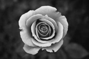 Python PIL ImageFont Truetype GeeksforGeeks