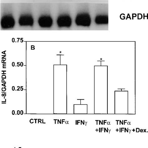 Effect Of Ifn 10 Ng Ml Tnf 10 Ng Ml Tnfplus Ifn 10 Ng Ml Each Download Scientific