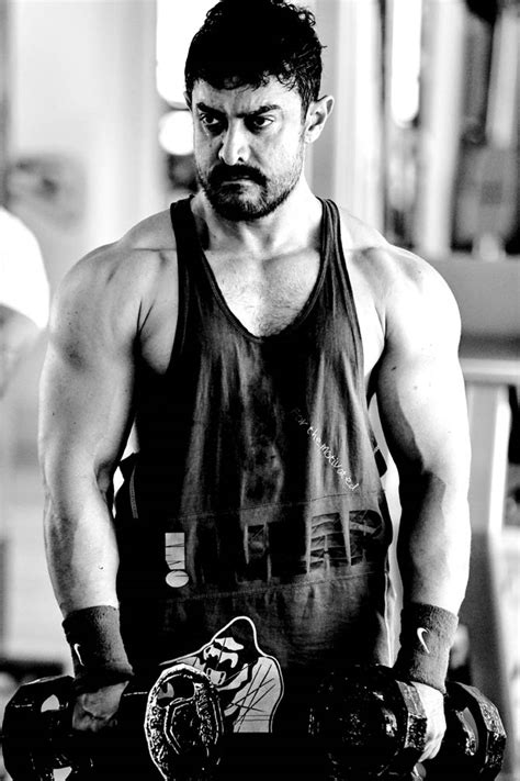 아미르 벽지보디 빌딩체력방무게보디 빌더 465144 Wallpaperuse