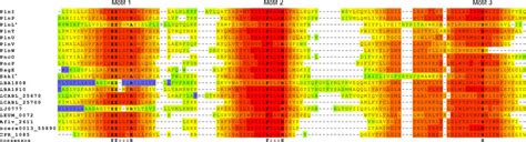 Multiple Sequence Alignment Of Abi Proteins From The Different Download Scientific Diagram