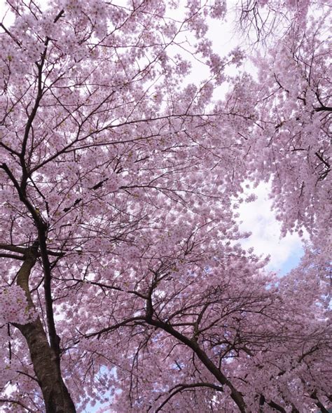 Flr Spectron Ltd On Linkedin Firstdayofspring