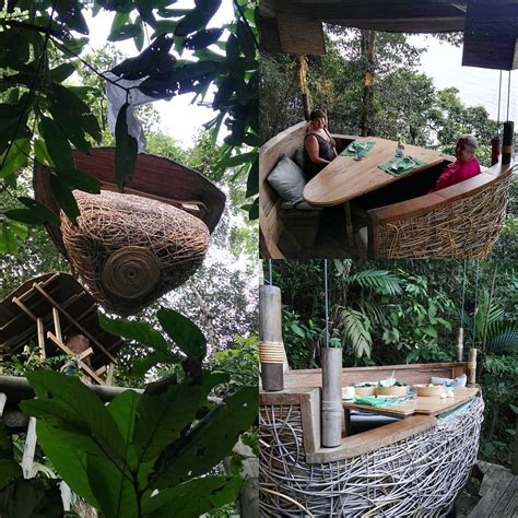 Tree Tops Dining Pods At Jimmy George Blog