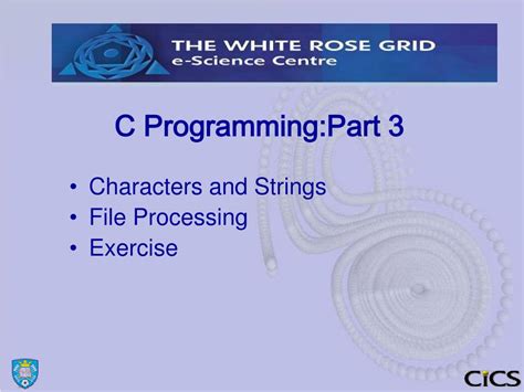 Ppt Characters And Strings File Processing Exercise Powerpoint