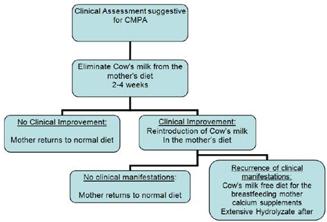 Decision Tree For The Diagnosis And Treatment Of Cmpa In Breastfed Download Scientific Diagram