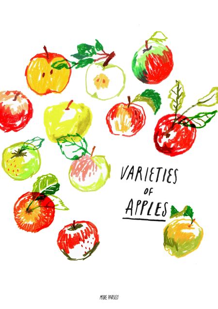 손그림일러스트 여름 일러스트 사과 일러스트 과일 일러스트 과일 그림 과일 그리기 Manzanas Dibujo Dibujo De Mono Estilos De Arte