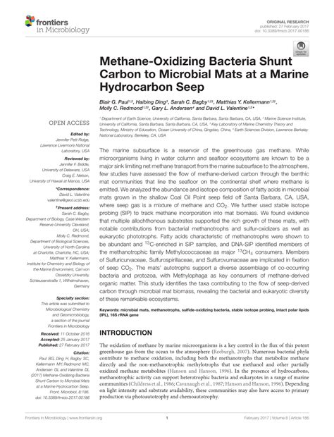 Pdf Methane Oxidizing Bacteria Shunt Carbon To Microbial Mats At A