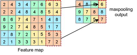 The Pooling Layer Reduces The The Feature Map Spatial Dimension It