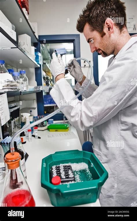 Kinase Profiling Researcher Analysing Protein Kinase Inhibitors To Determine Their Selectivity