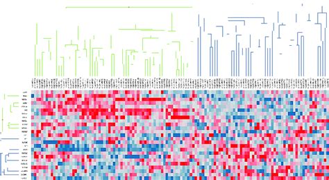 hierarchical clustering of gene expression profiles related to the