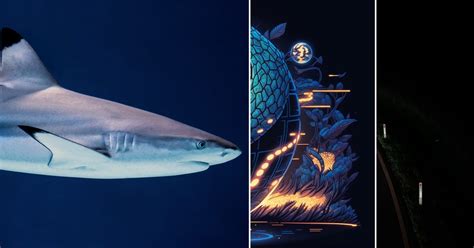 List Networking Curated By Kev Barnes Medium